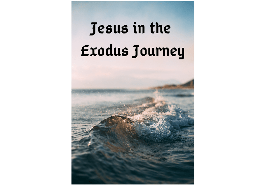 The Birth of a Savior (Exodus 2:1-10) | Enactedword